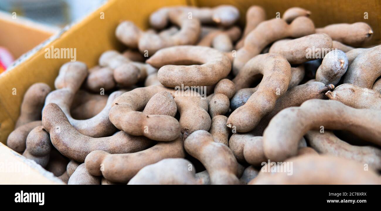 exotic fruits of Asia - Tamarind. Tamarind in cooking and healthy ...