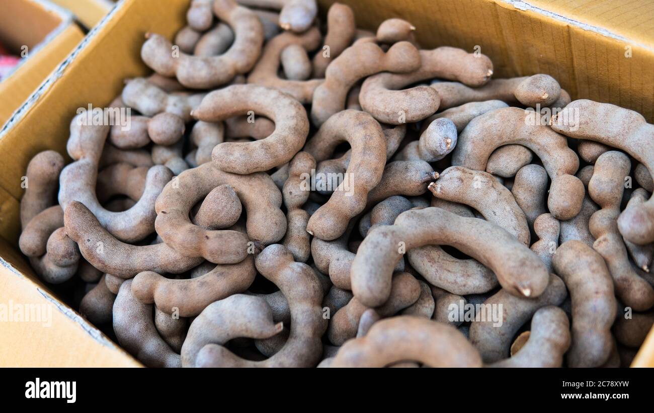 exotic fruits of Asia - Tamarind. Tamarind in cooking and healthy ...