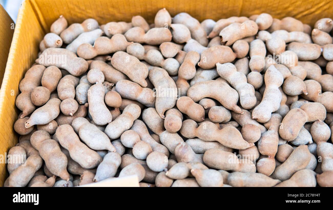 exotic fruits of Asia - Tamarind. Tamarind in cooking and healthy ...