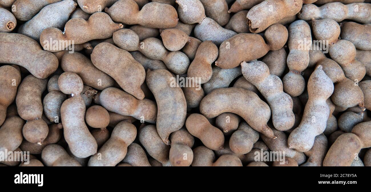 exotic fruits of Asia - Tamarind. Tamarind in cooking and healthy ...