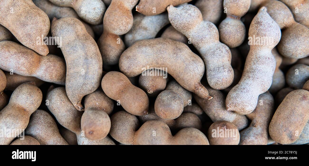 exotic fruits of Asia - Tamarind. Tamarind in cooking and healthy ...