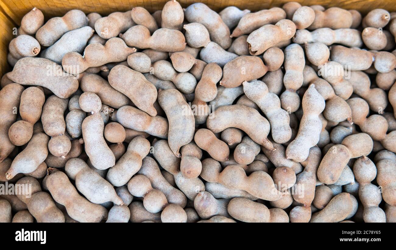 exotic fruits of Asia - Tamarind. Tamarind in cooking and healthy ...