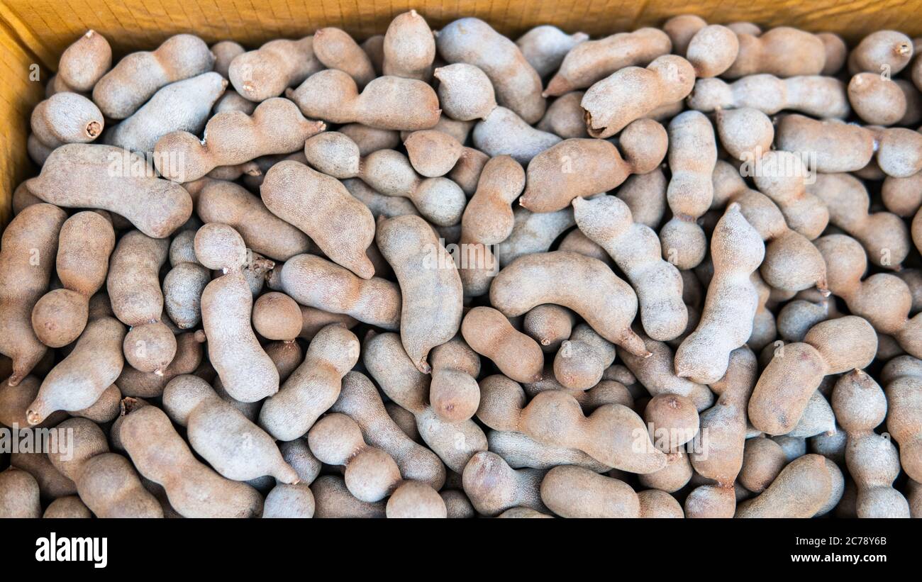 exotic fruits of Asia - Tamarind. Tamarind in cooking and healthy ...