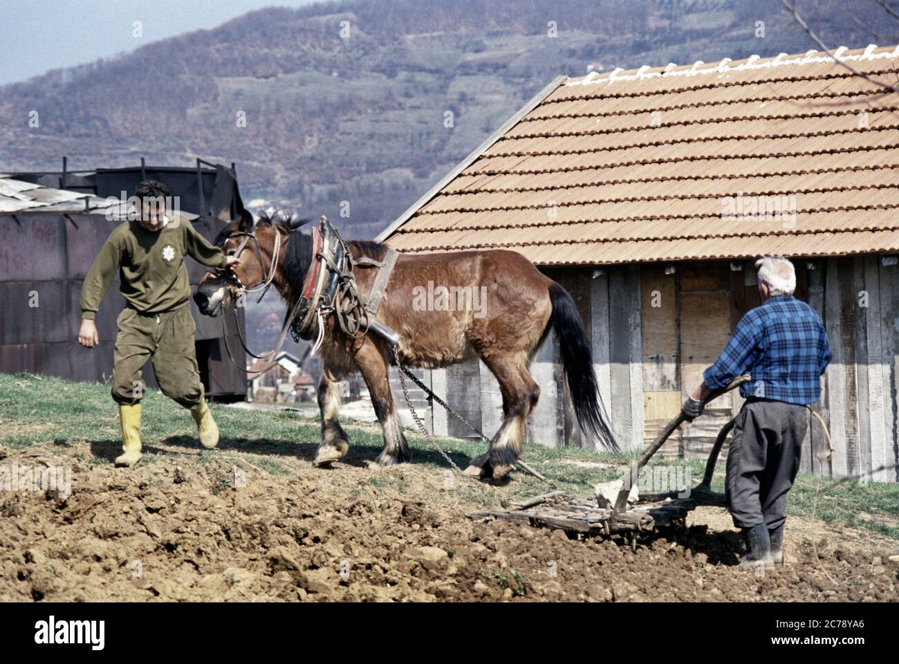 Old war horse hi-res stock photography and images - Alamy
