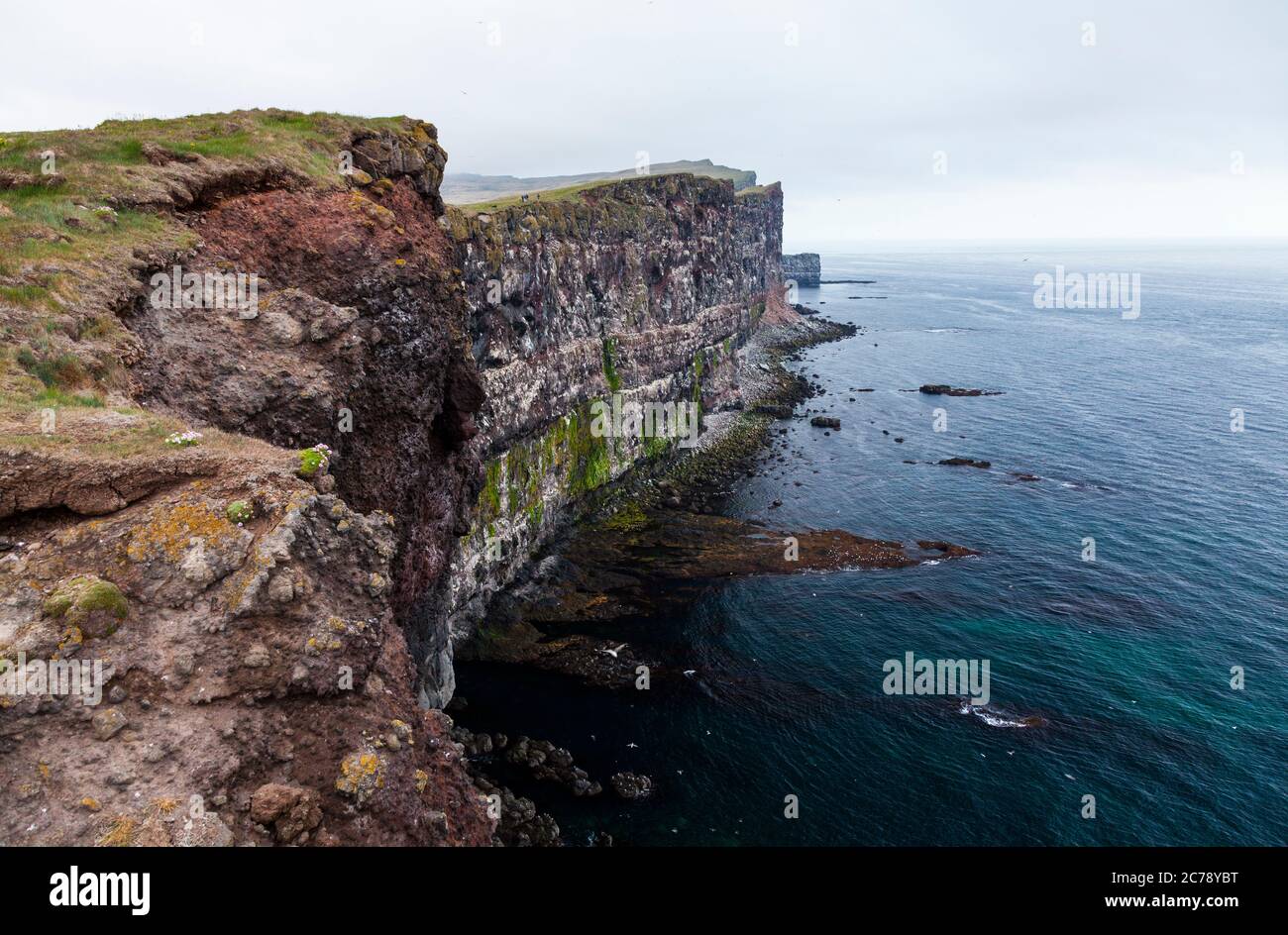 Latrabjarg bird cliffs, Westfjords, Iceland, Europe Stock Photo - Alamy