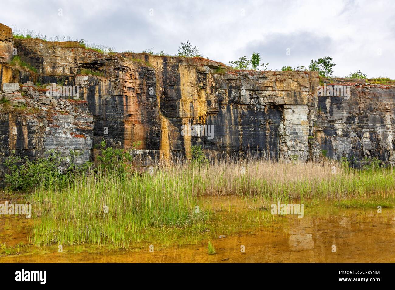 Old pond yellow water hi-res stock photography and images - Alamy