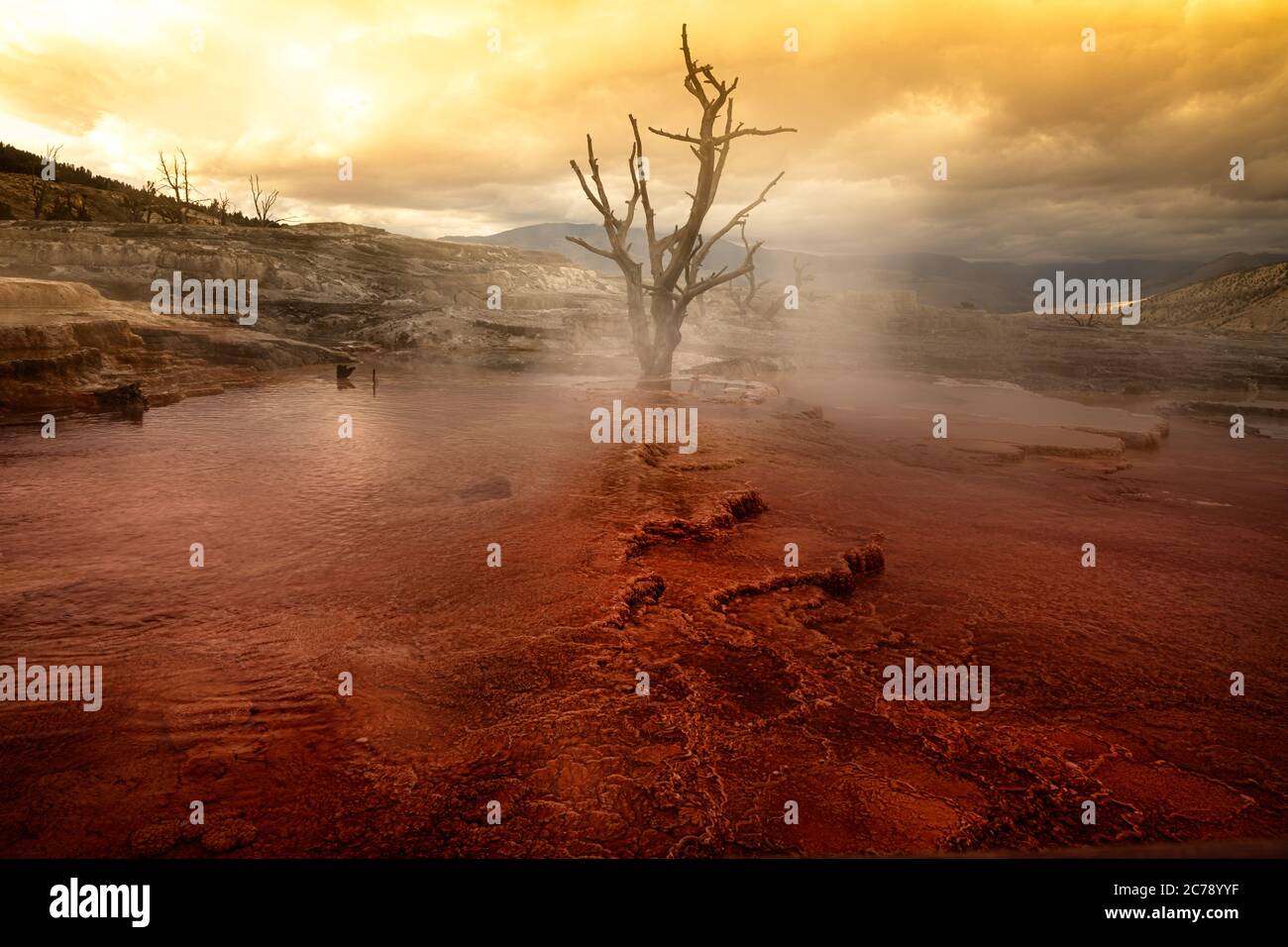 Surreal dramatic extraterrestrial landscape, Mammoth Hot Springs ...