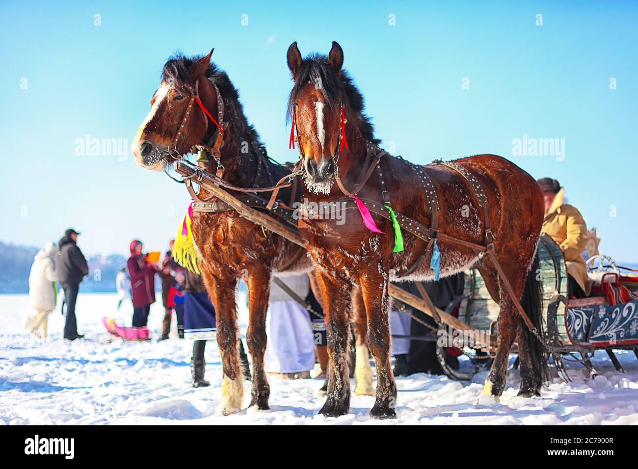 Sledges transportation hi-res stock photography and images - Alamy