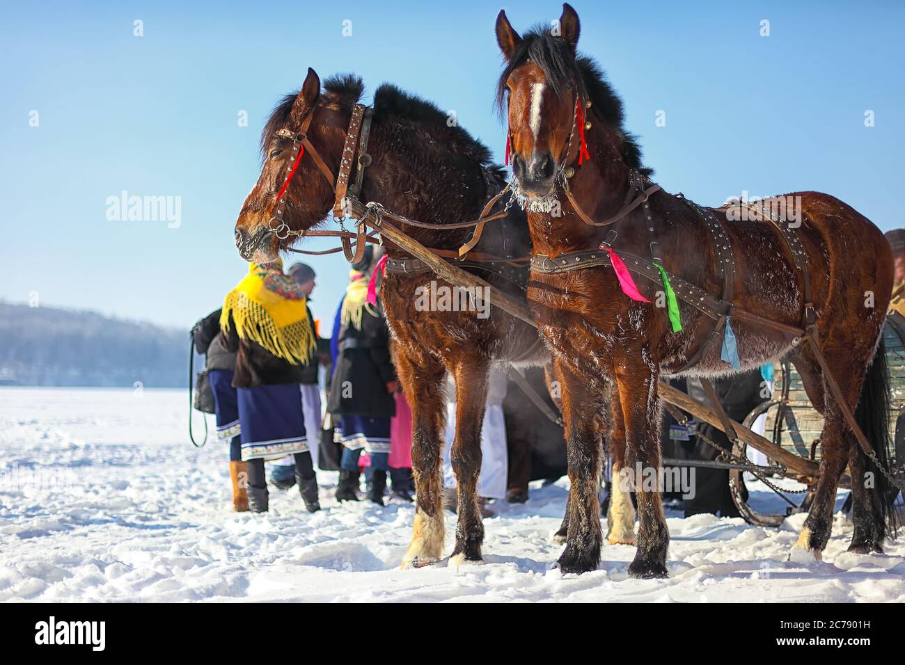 Sledges transportation hi-res stock photography and images - Alamy