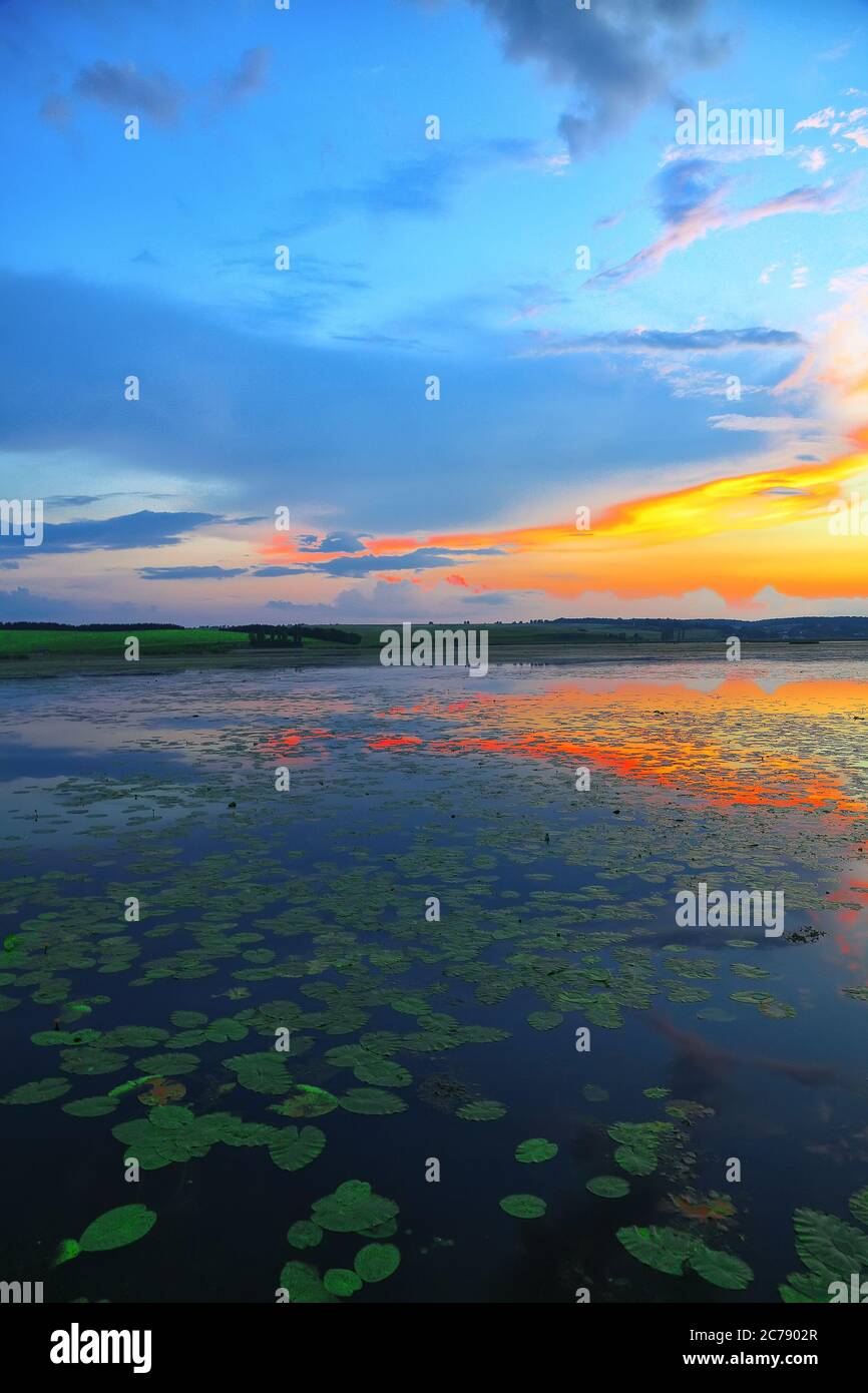 Sunrise over water lilies hi-res stock photography and images - Alamy