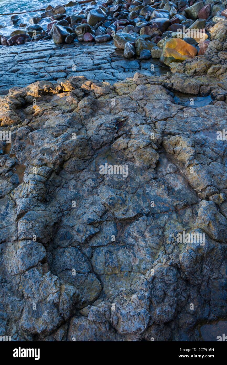Largest ichnites of sauropod dinosaurs, La Griega Beach, Lastres ...