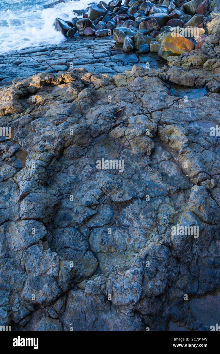 Largest ichnites of sauropod dinosaurs, La Griega Beach, Lastres ...