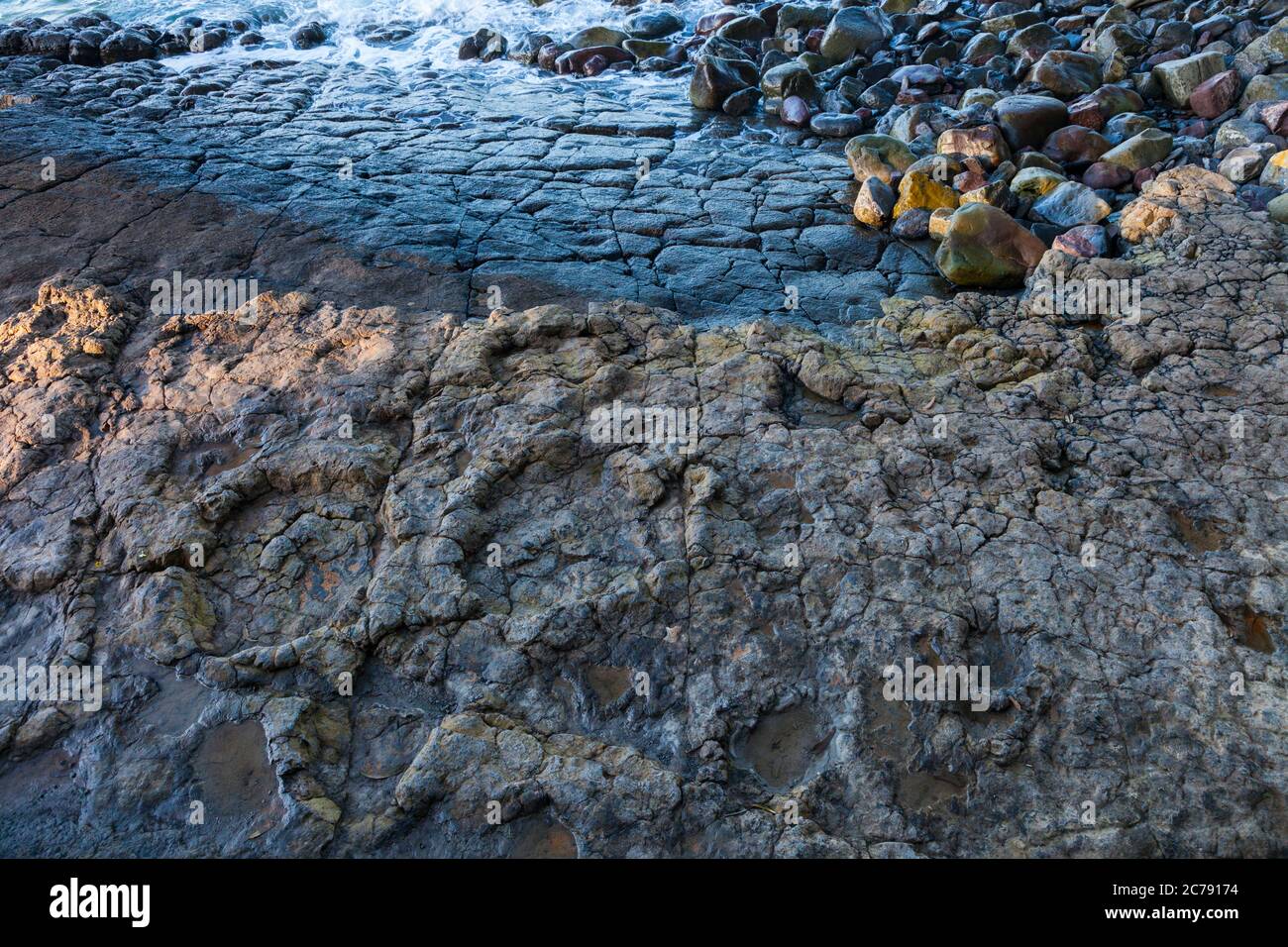 Largest ichnites of sauropod dinosaurs, La Griega Beach, Lastres ...