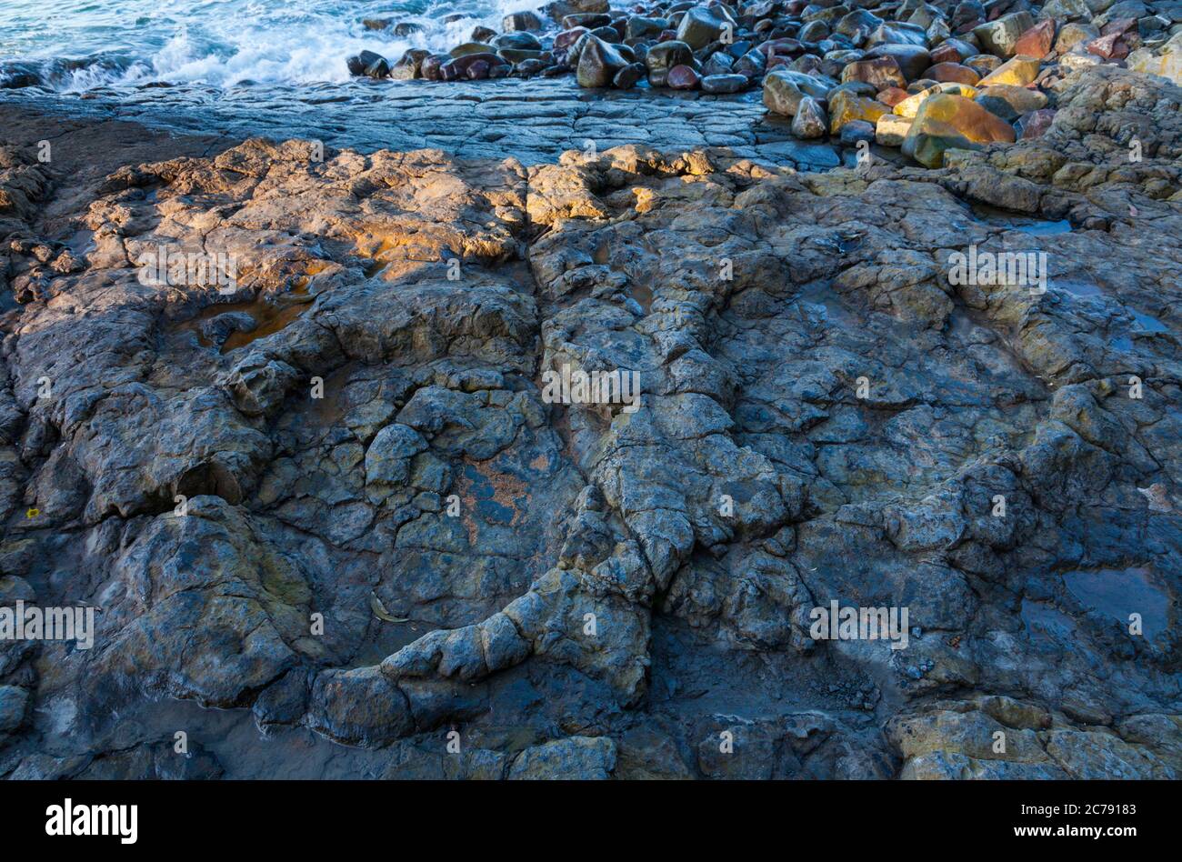 Largest ichnites of sauropod dinosaurs, La Griega Beach, Lastres ...
