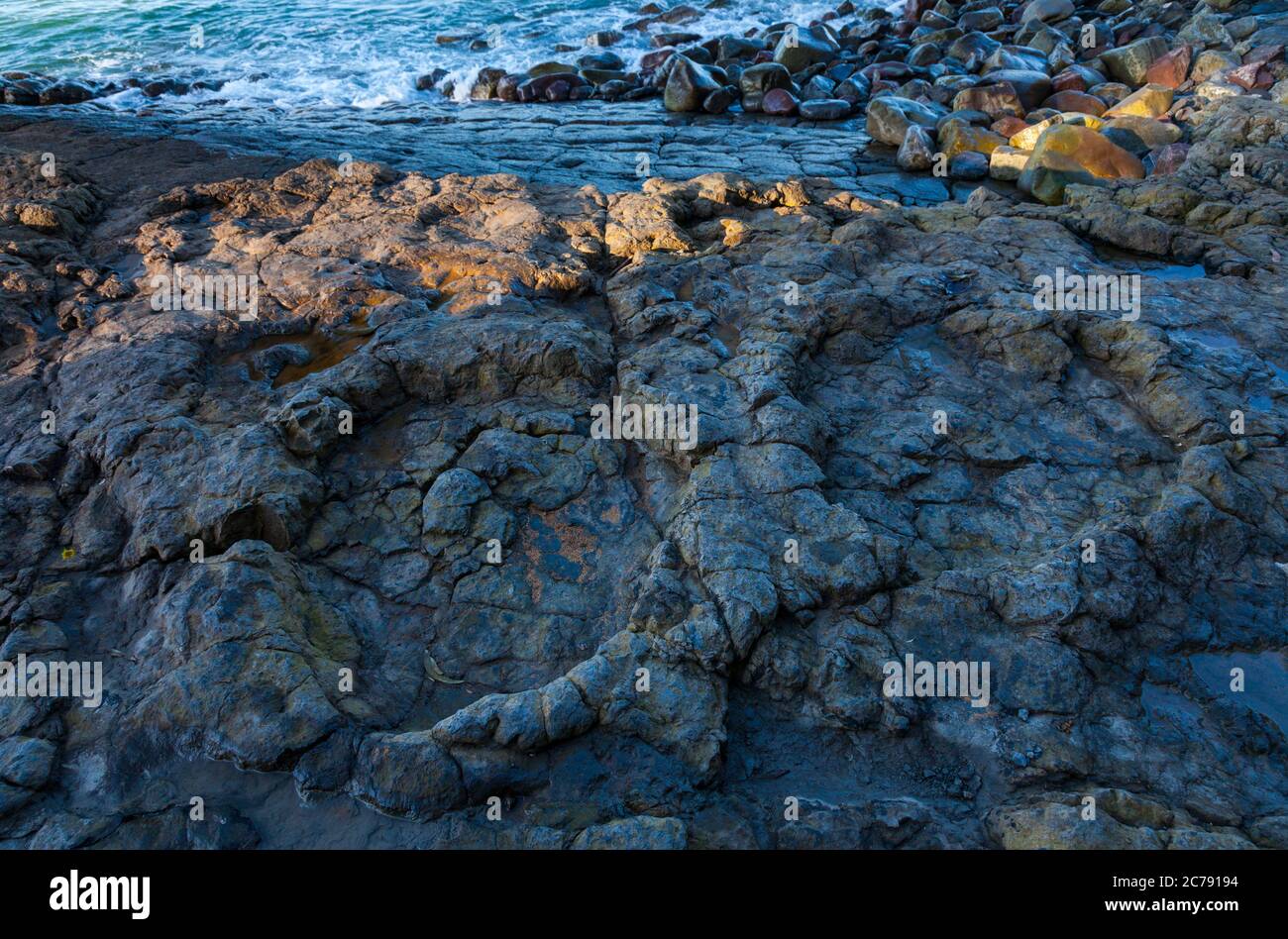 Largest ichnites of sauropod dinosaurs, La Griega Beach, Lastres ...