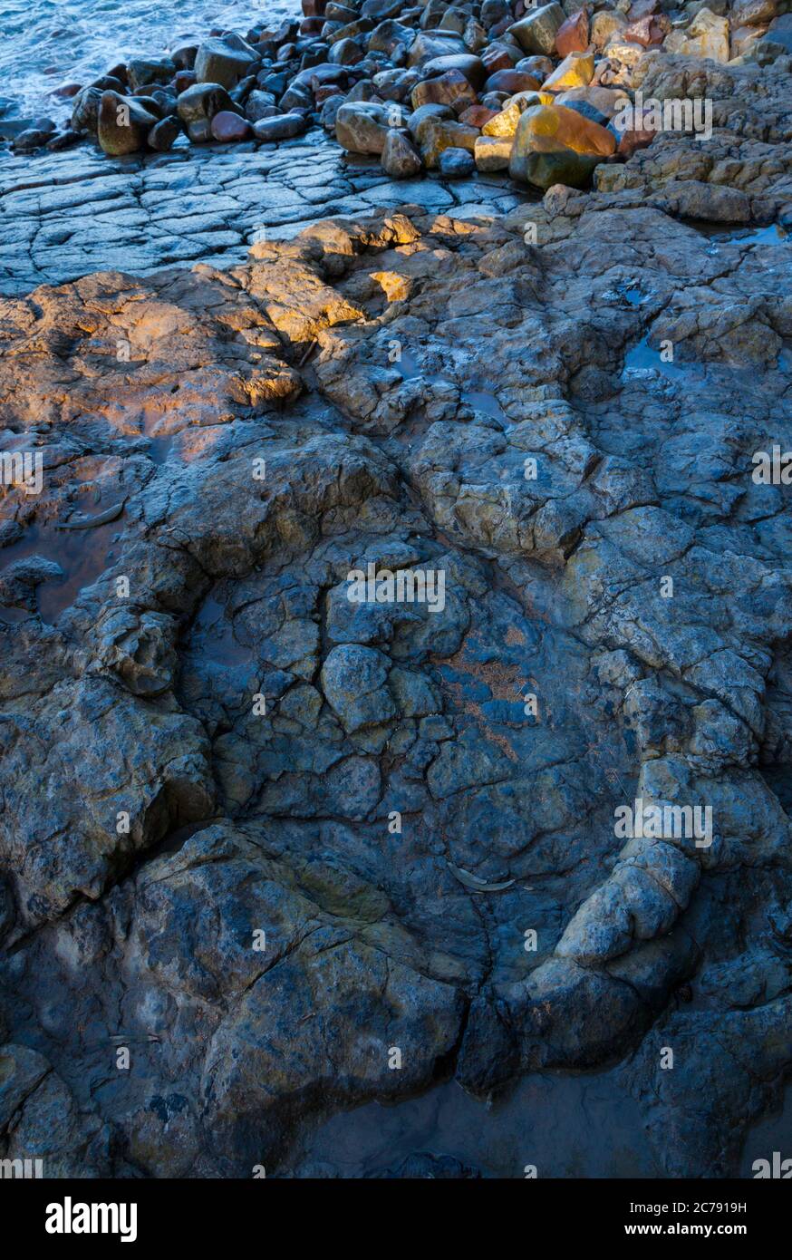 Largest ichnites of sauropod dinosaurs, La Griega Beach, Lastres ...