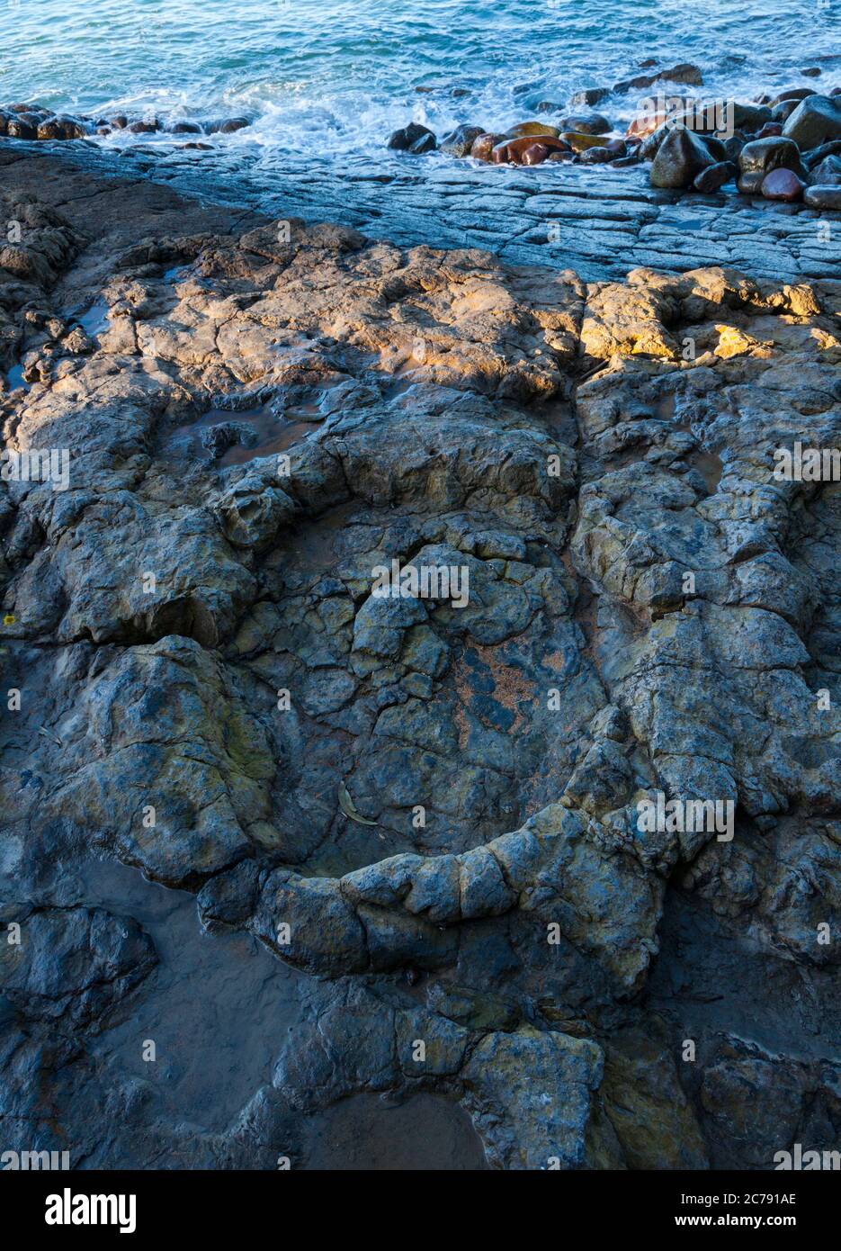 Largest ichnites of sauropod dinosaurs, La Griega Beach, Lastres ...