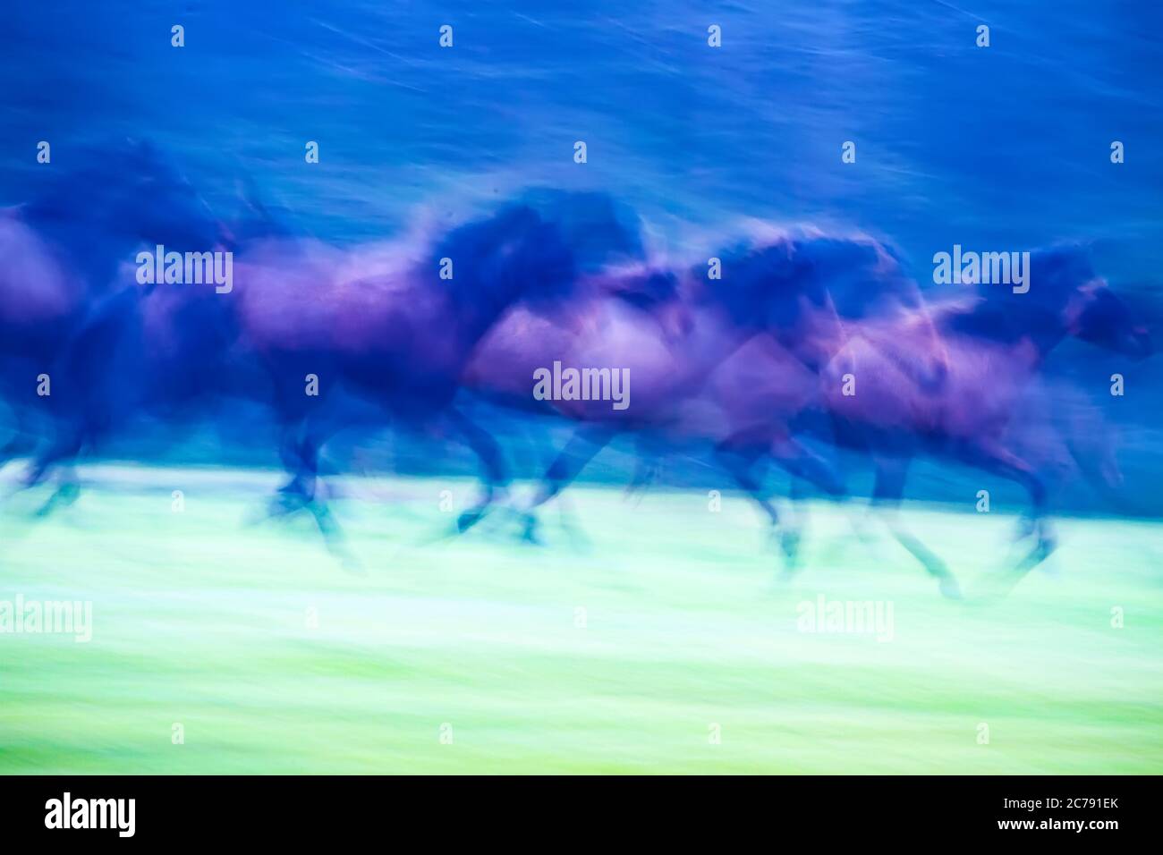 Running wild horses. Motion blur background. Abstract nature and ...