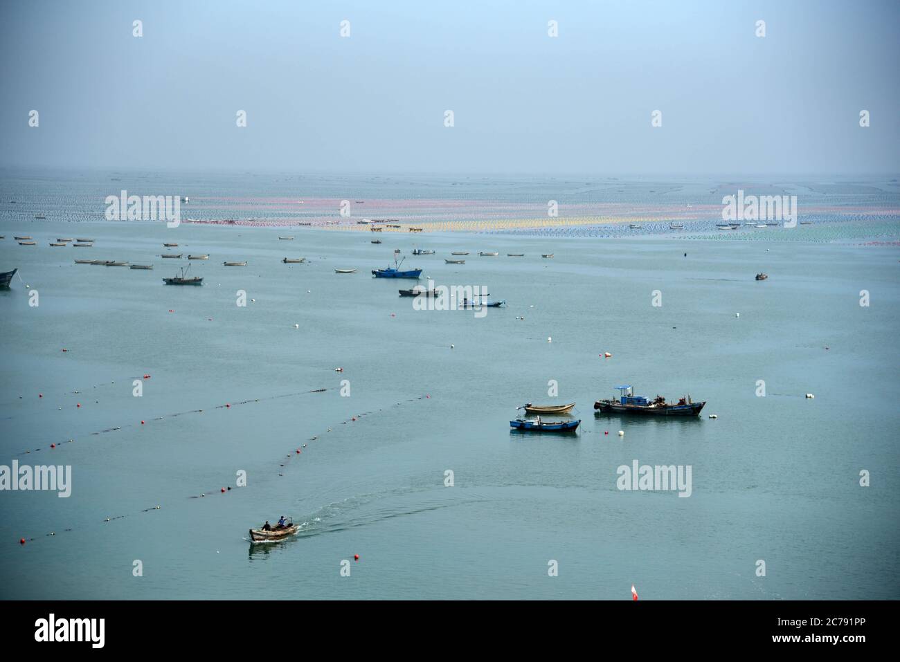 Rongcheng, China's Shandong Province. 15th July, 2020. Photo shows a ...