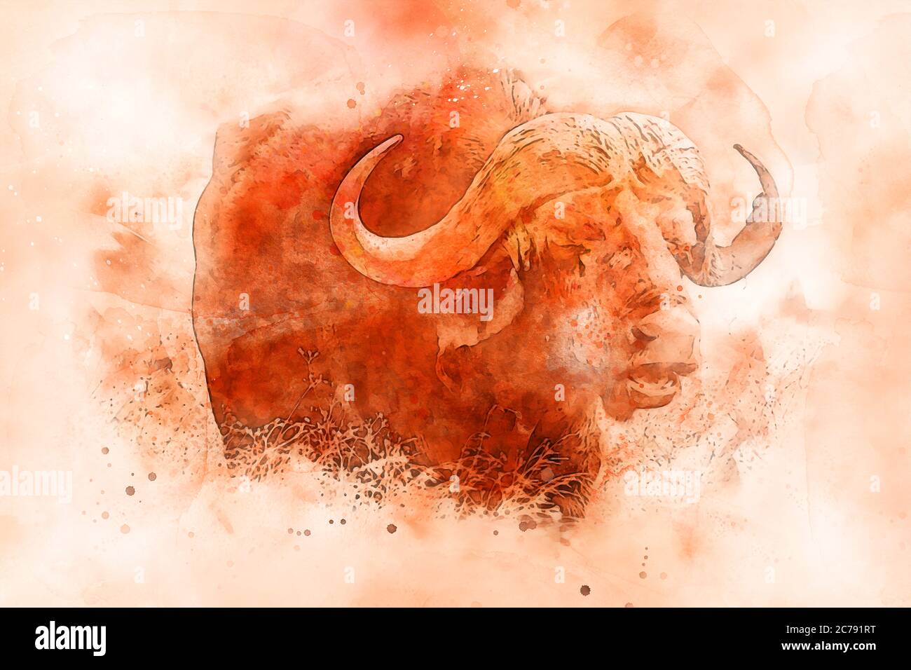 Asian wild animals hi-res stock photography and images - Alamy