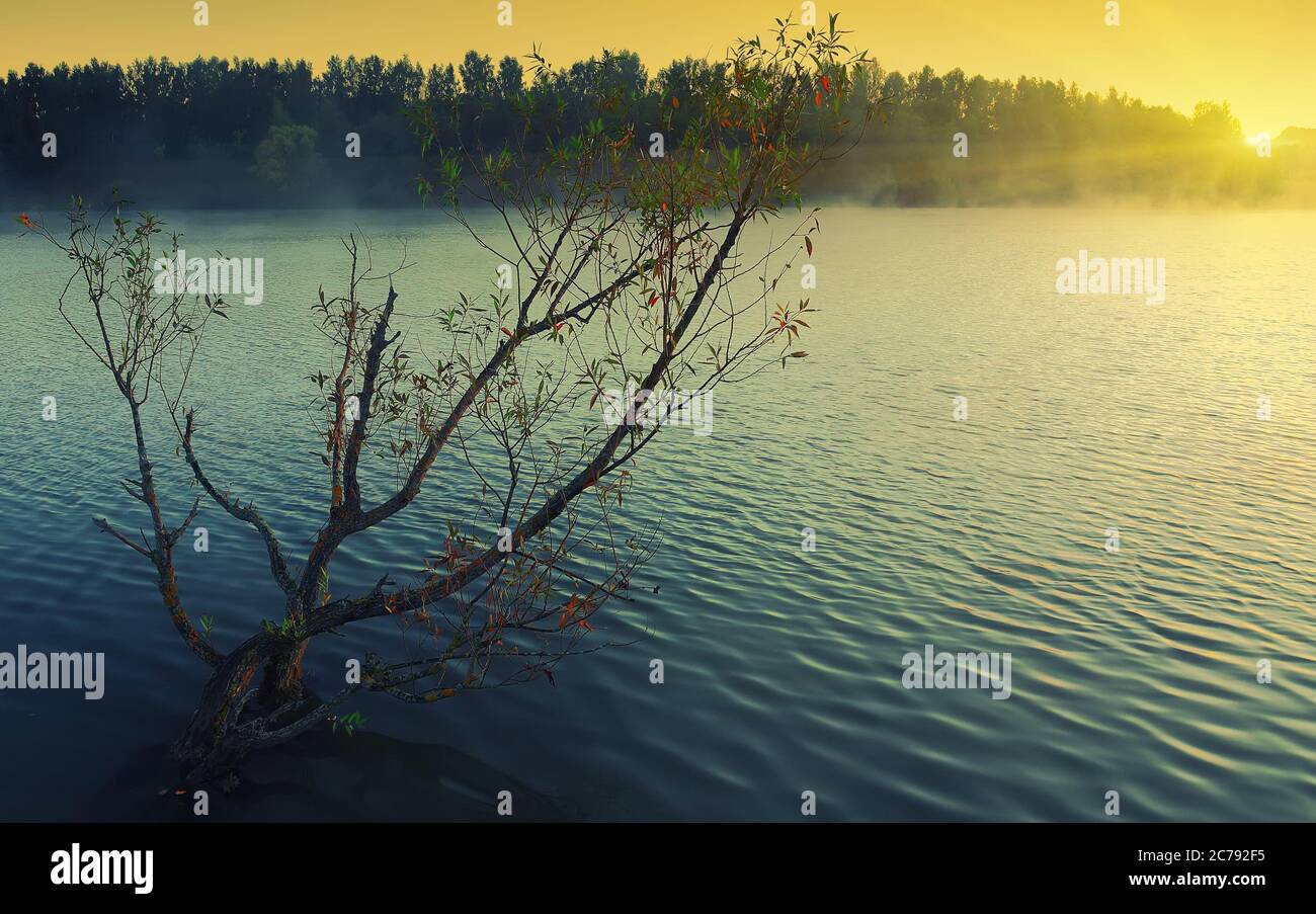 Fog over water hi-res stock photography and images - Alamy