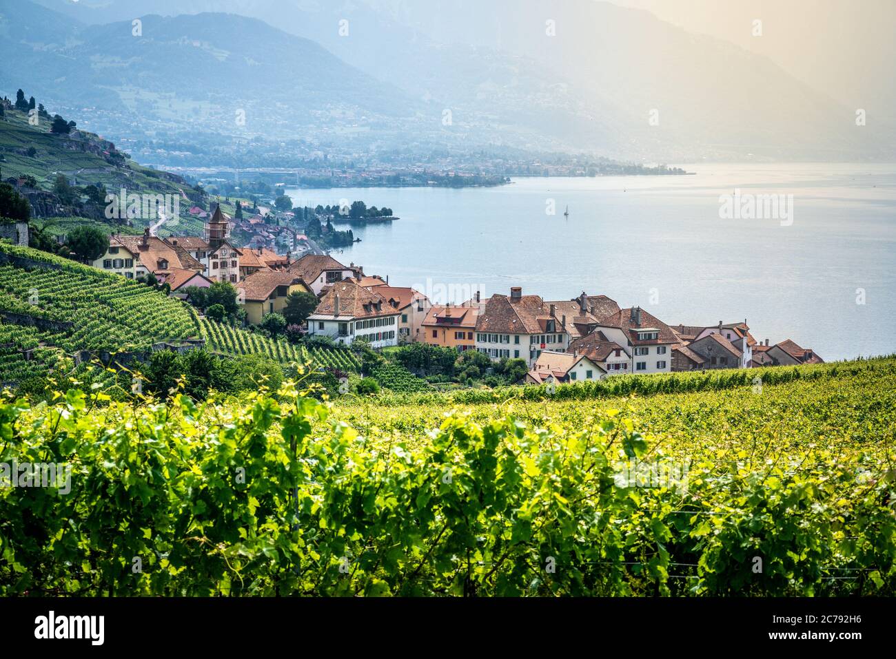 Rivaz village hi-res stock photography and images - Alamy