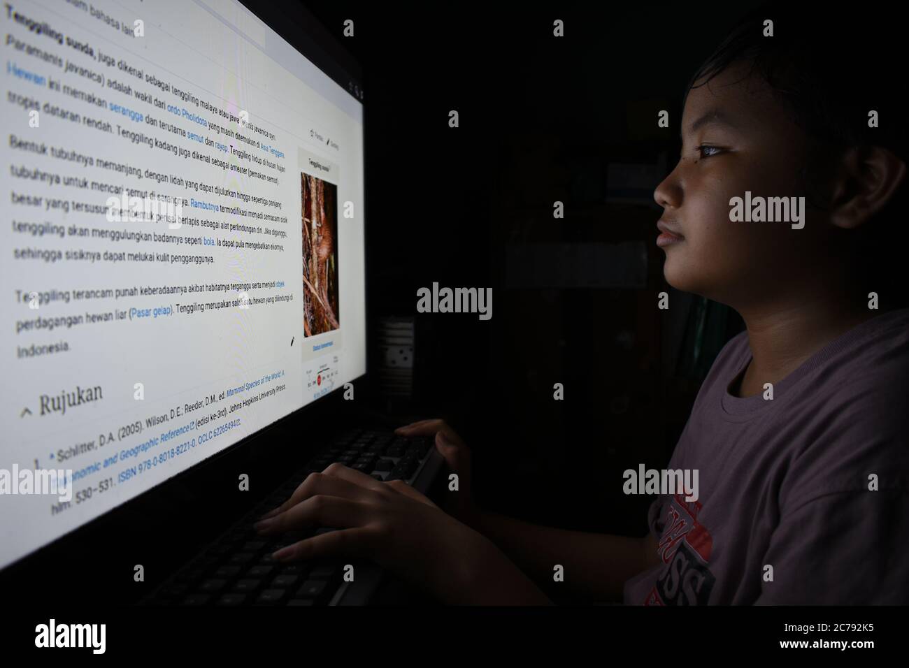 A boy learning at home online Stock Photo - Alamy
