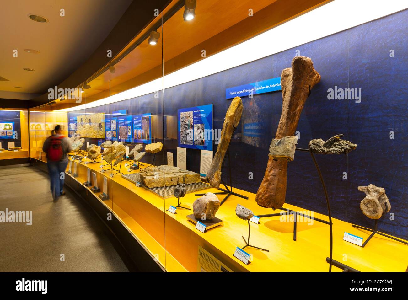 Jurassic Museum of Asturias, Colunga Council, Asturias, Spain, Europe ...