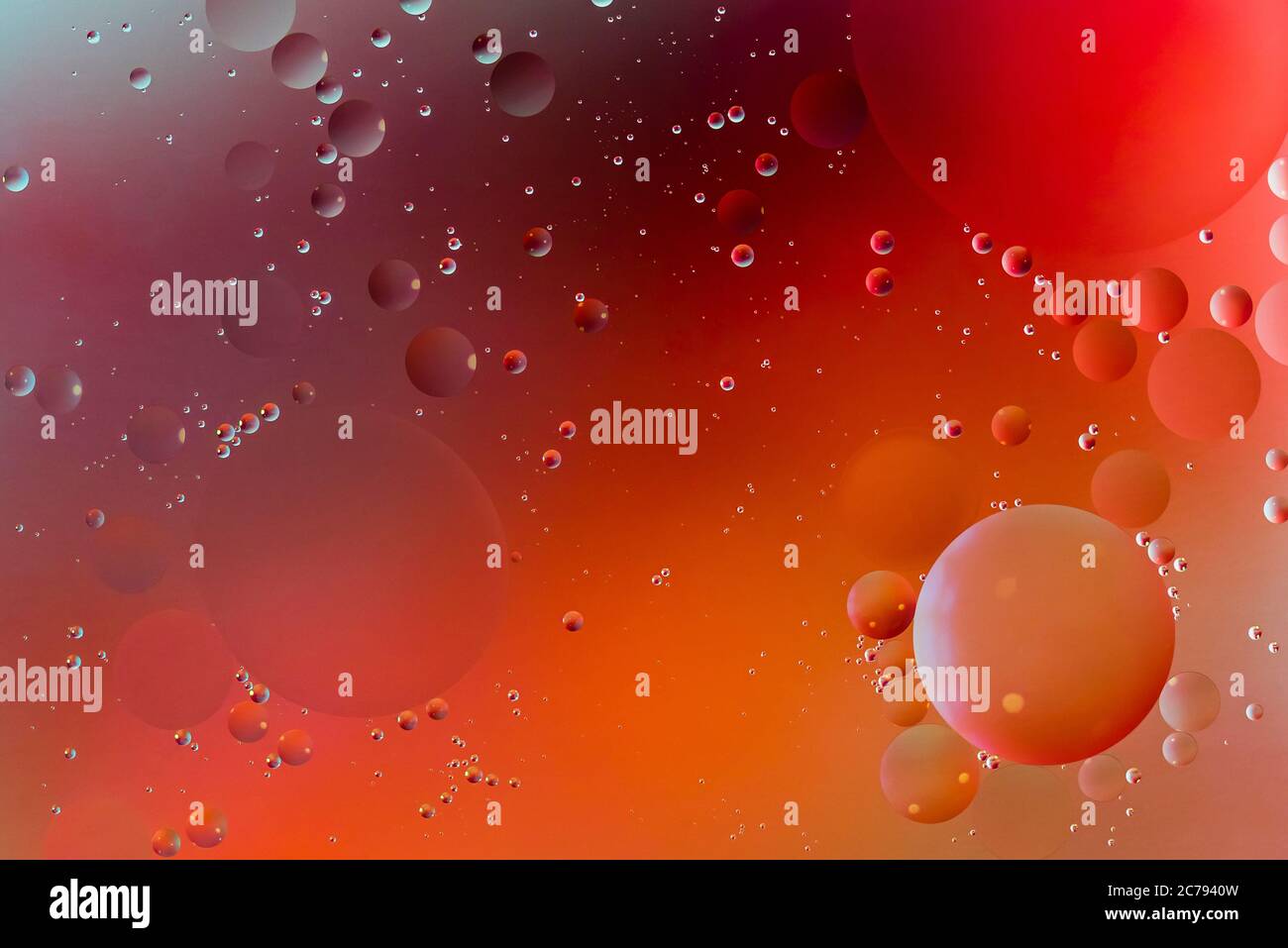 Studio abstract image of oil drops on water over a colourful red ...