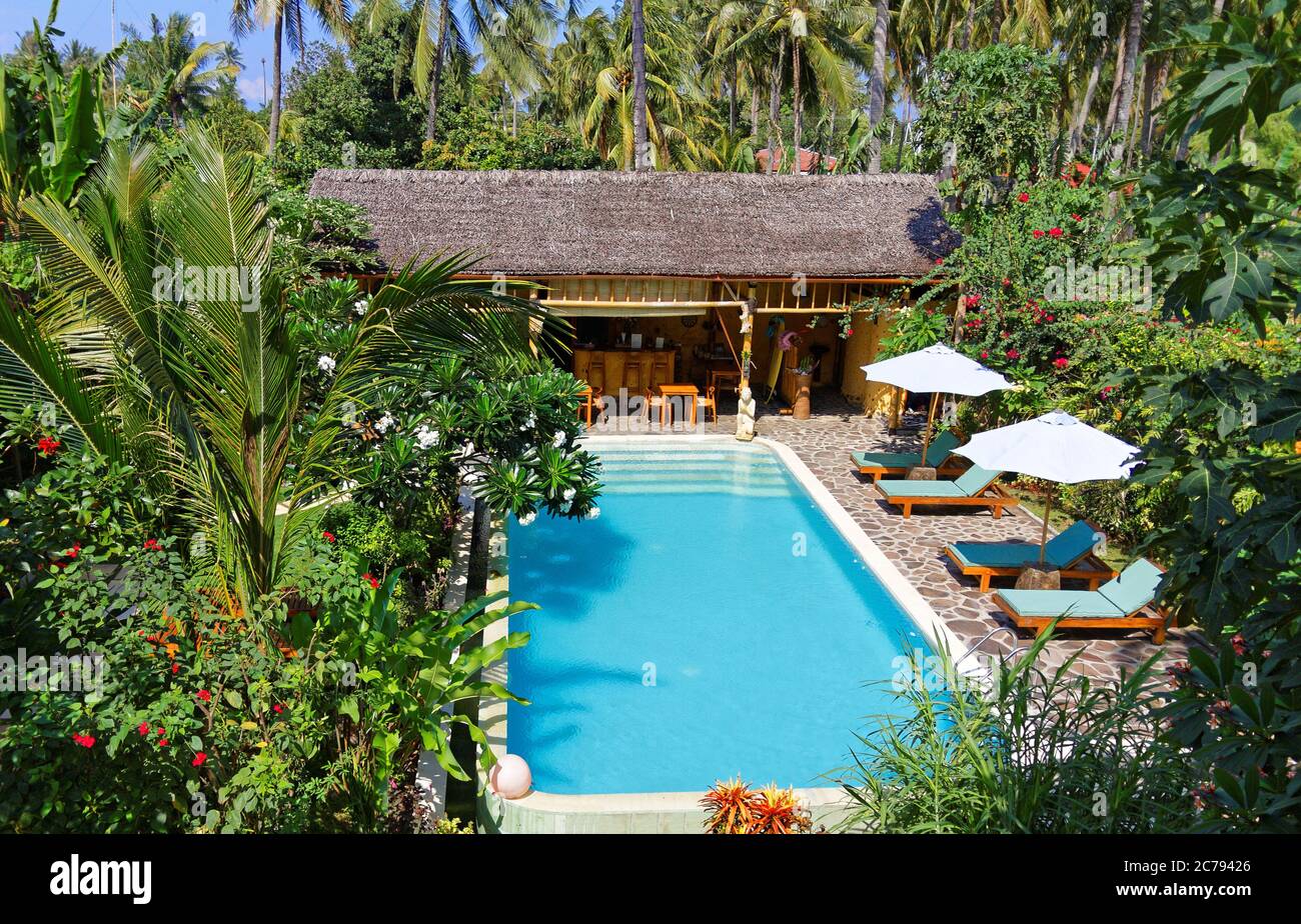 Tropical outdoor swimming pool with bar umbrellas and sunbeds, palm ...