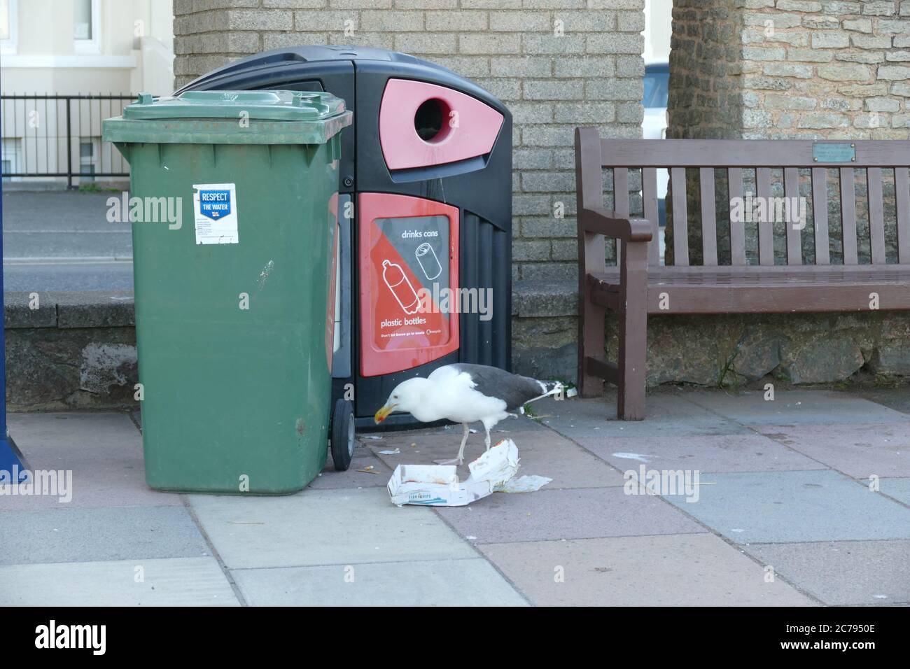 seagull raids rubbish bins for food Stock Photo - Alamy