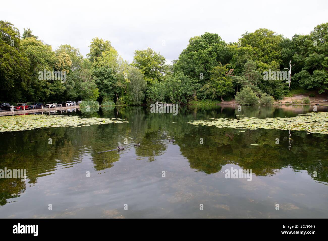 A view across the water, Keston Ponds, Kent Stock Photo - Alamy