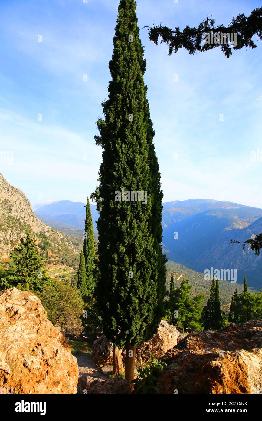 Delphi archaeological park, Greece Stock Photo - Alamy