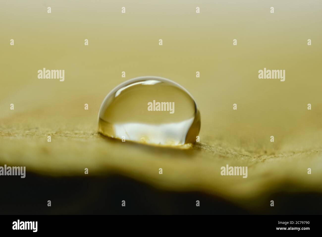 A beautiful closeup photograph of water drop with reflection of lights ...