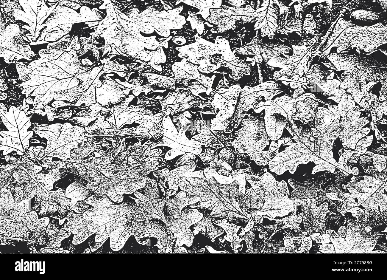 Weathered leaf Stock Vector Images - Alamy
