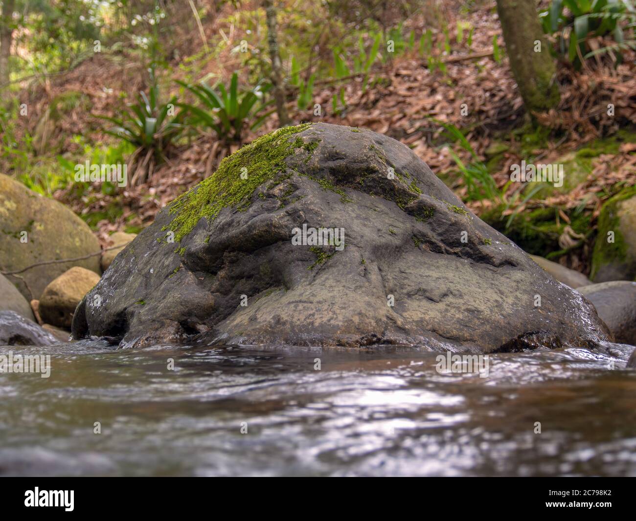 Close-up photography of some rocks in a ravin located at the highlands ...