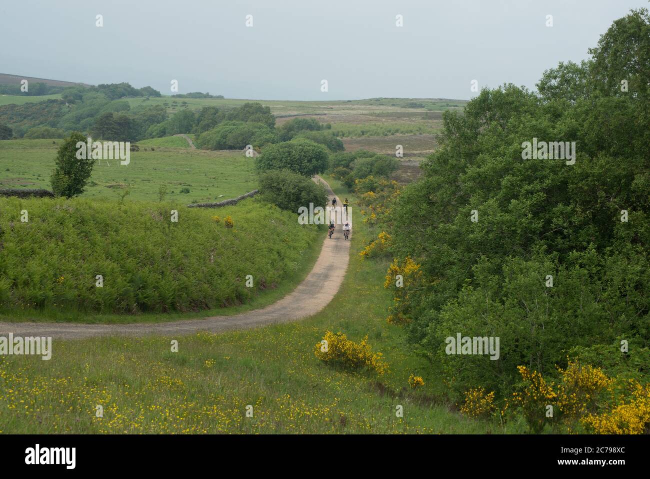 Four cyclists, riding in pairs, cycle through the countryside in the ...