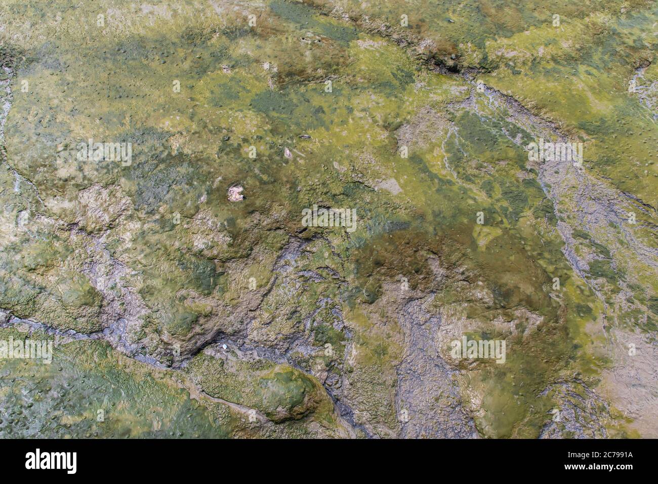 Deep mud on beach hi-res stock photography and images - Alamy