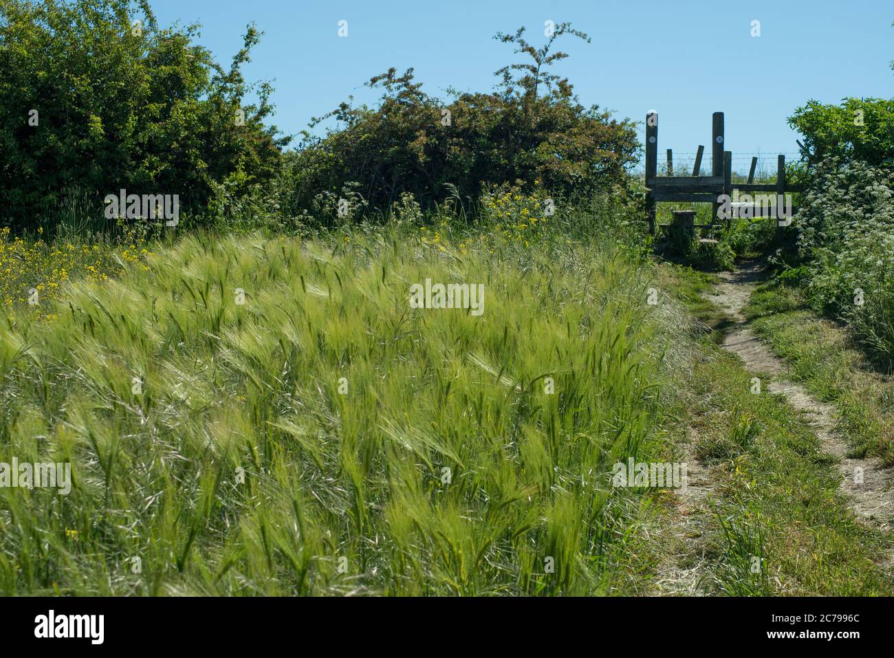 Marked pathway hi-res stock photography and images - Alamy