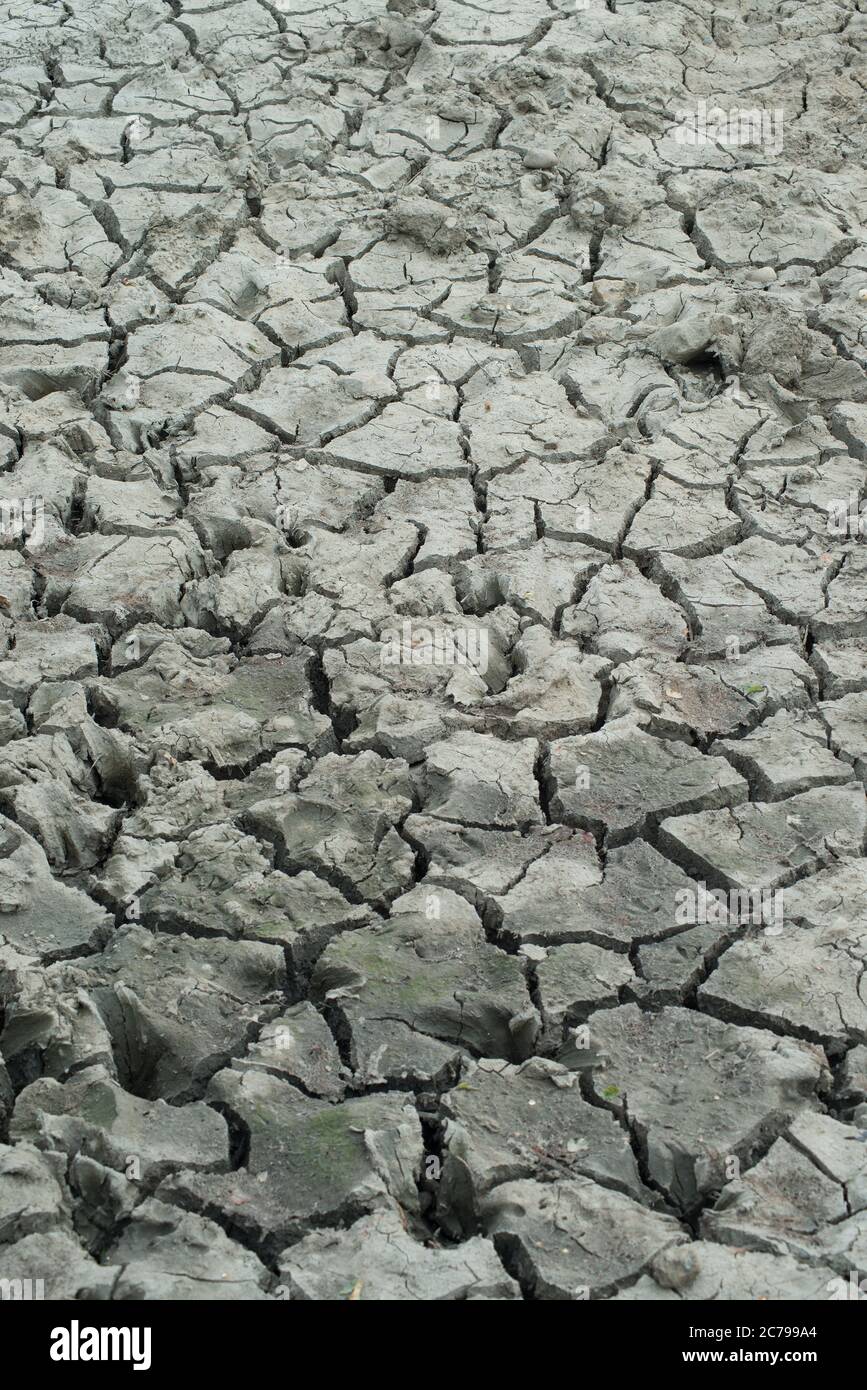 Soil and earth dried out and cracked into various shapes by loss of ...