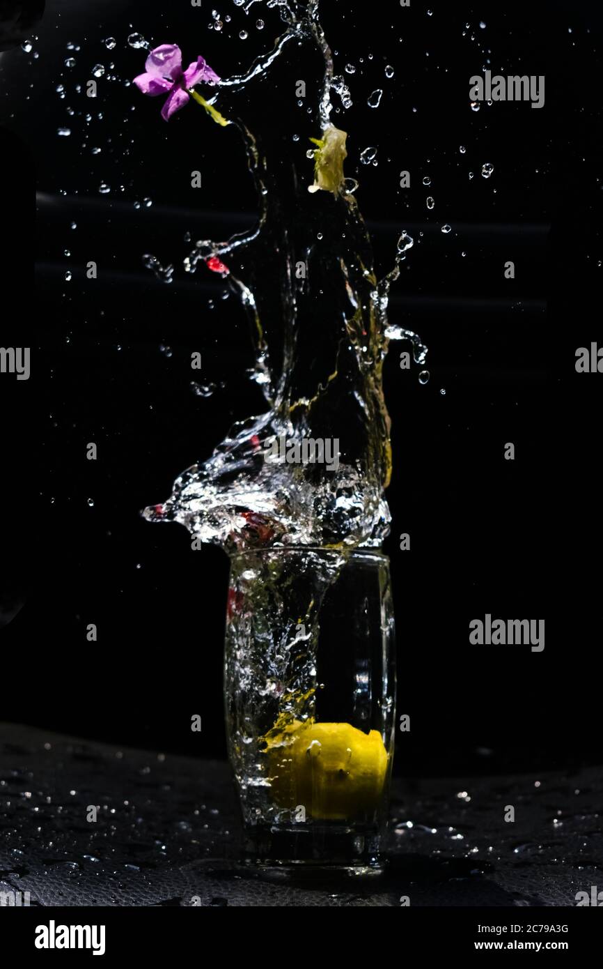 Beautiful closeup photograph of water splash with flowers and black ...