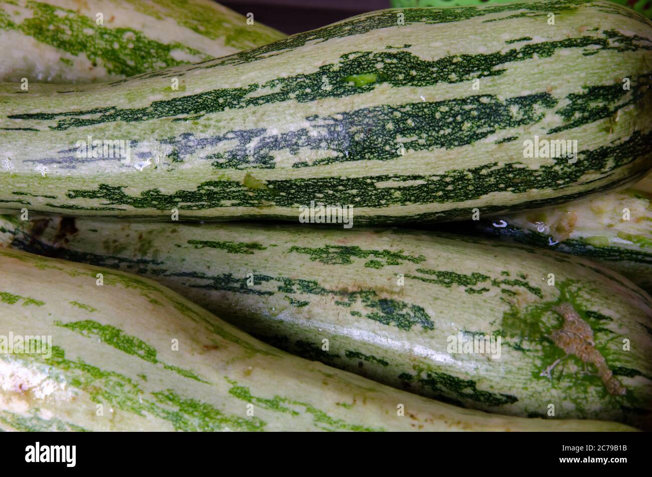 Zucchinis isolated hi-res stock photography and images - Alamy