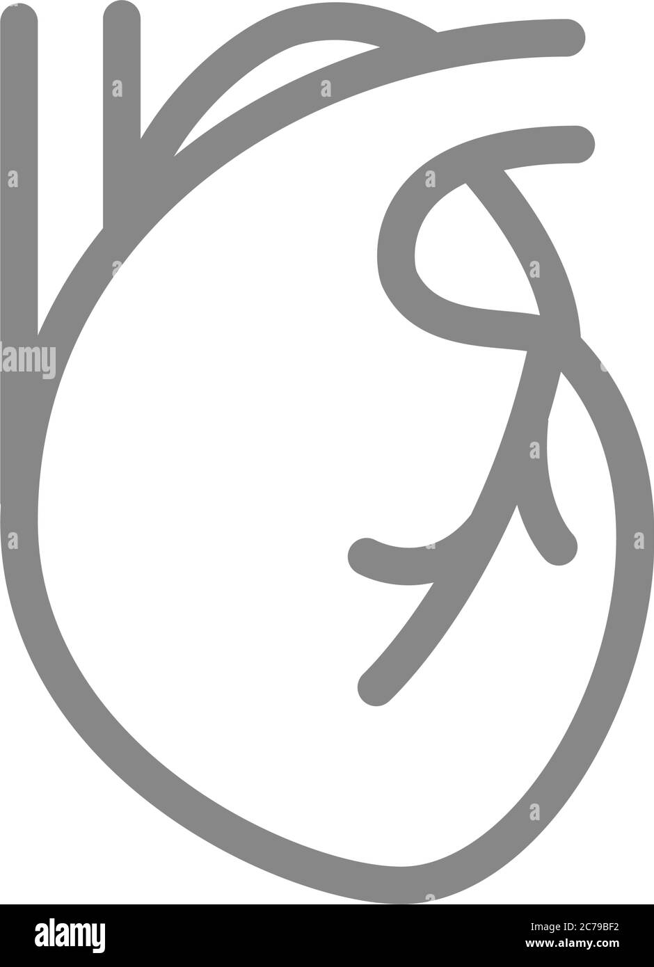 Human Heart Line Icon Healthy Internal Organ Symbol Stock Vector Image