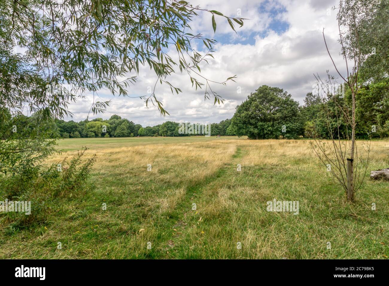 A path across Tooting Bec Common in South London Stock Photo - Alamy