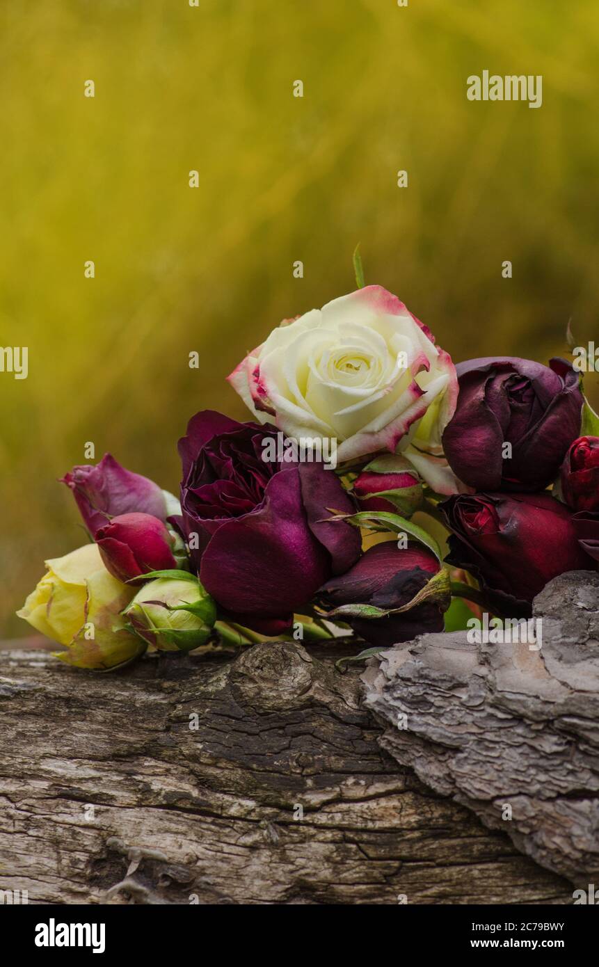 Mixed roses in a floral arrangement of wedding decoration. Wedding ...
