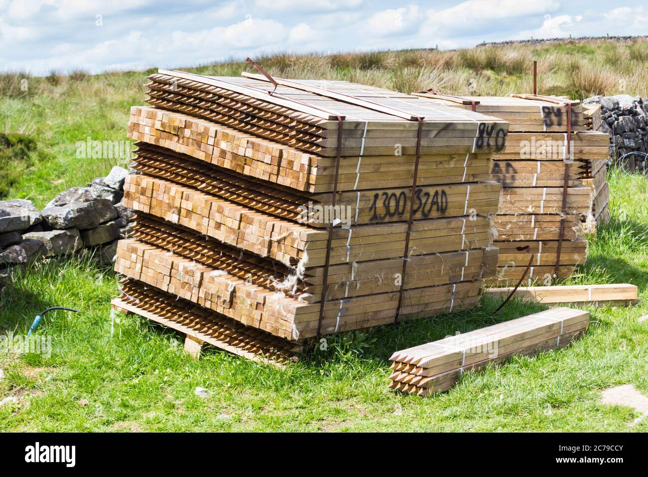 Pallet loads of wooden stakes, supports for young trees to be planted ...