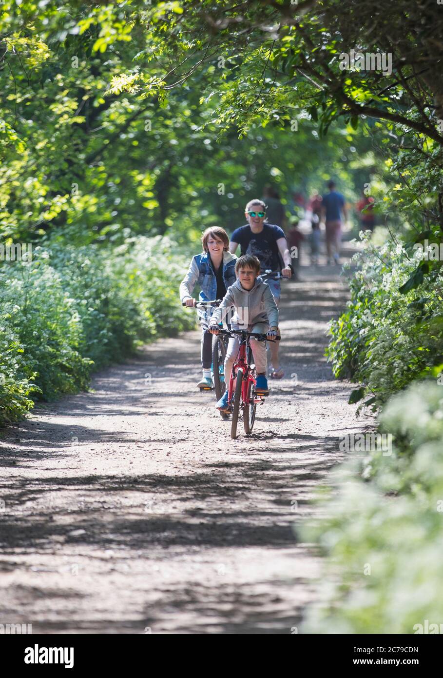 Mother and sons bike riding on sunny park path Stock Photo - Alamy