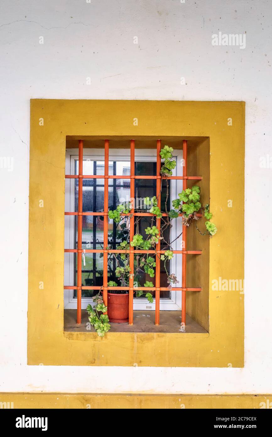 Colorful window in the facade of a typical Portuguese house at Porto ...