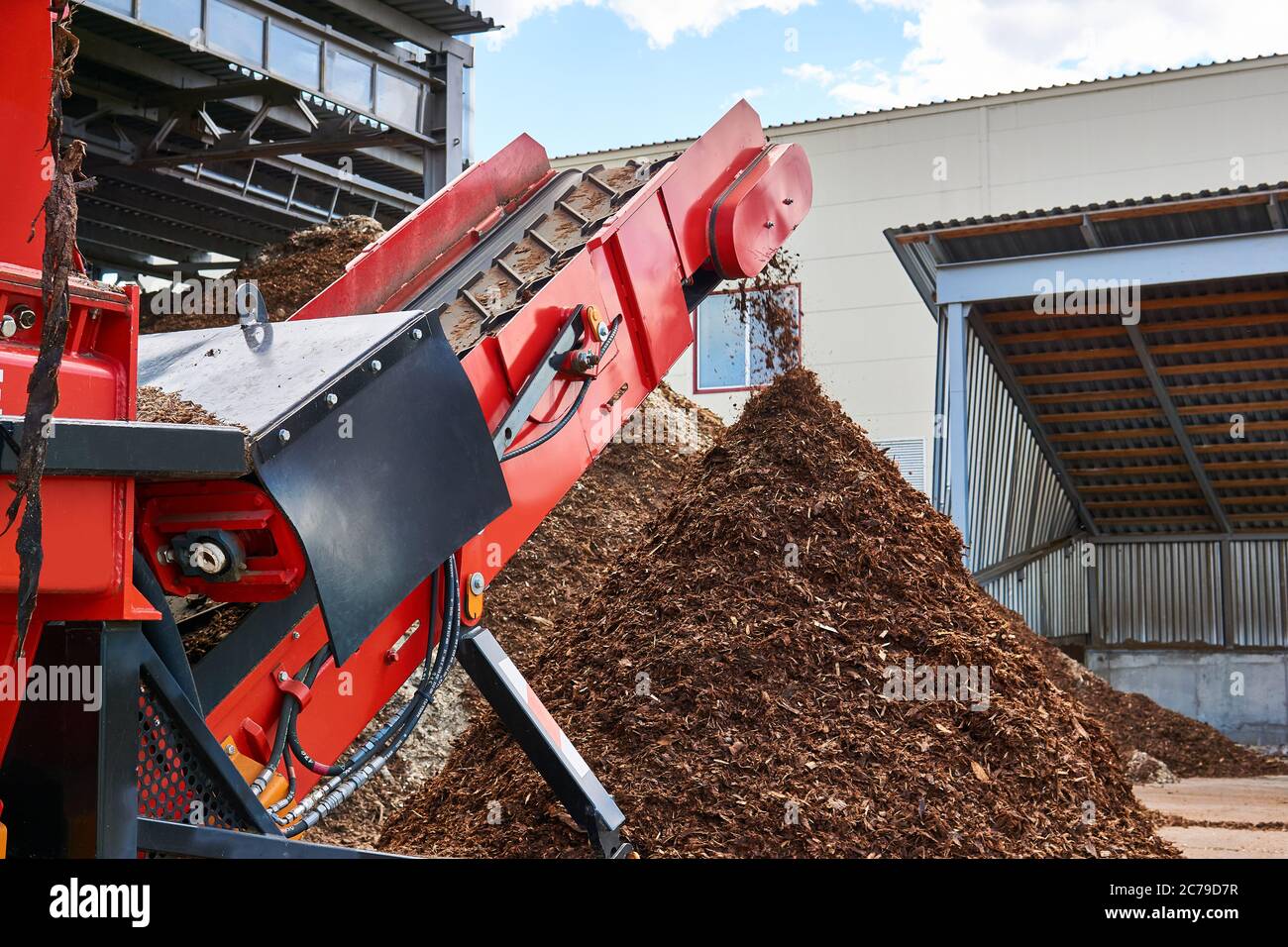 close-up conveyor of an industrial wood shredder producing wood chips ...