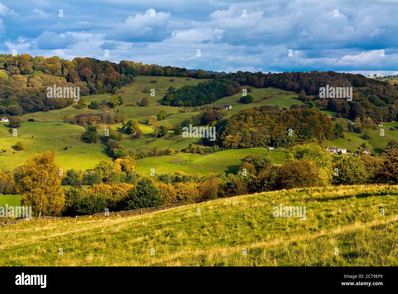 Rolling hills with trees in countryside near Cromford in the Peak ...